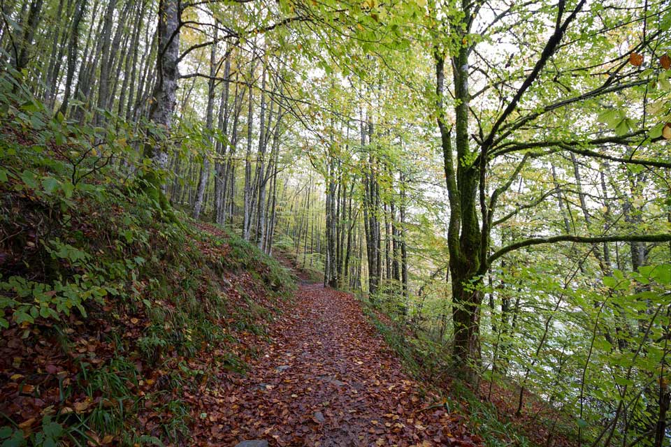 Navarra Natural y Sierra de Irati - Travel and Dream